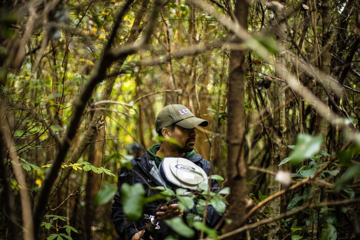 “Blind” Conservation: The Dire Need for Evidence-Based Conservation ...